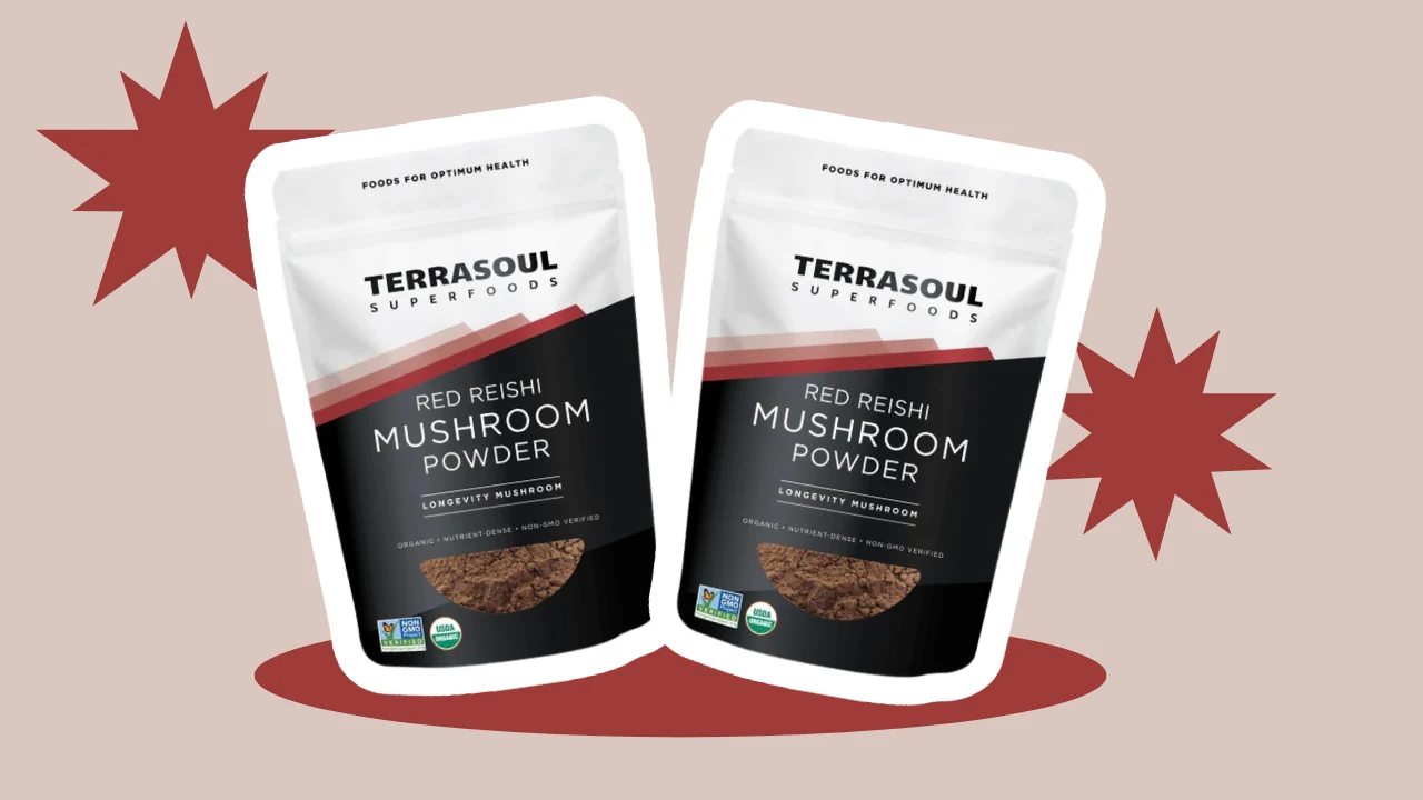 Terrasoul Mushroom Powder: Important Information About This Leading ...